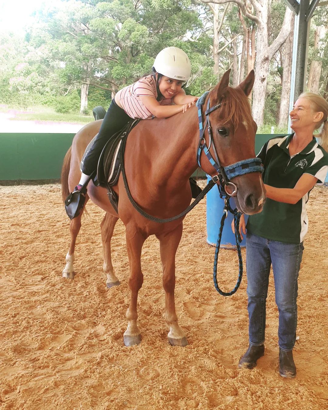 Goose – RDA(NSW) Ryde Centre